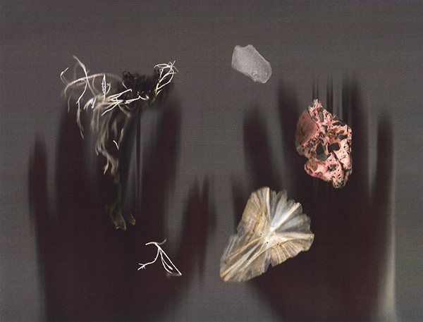 Daze Jefferies, Artist – New World Island, NL and Cape Breton Island ...