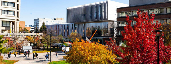 Tenure-track opportunity in Game Design and Development, York ...