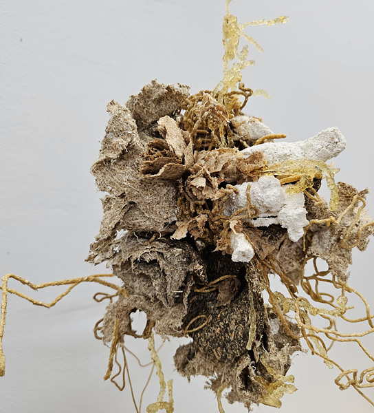 Gwenyth Chao: symbionts of capitalist ruin – Akimbo Art